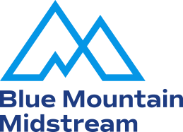 Overview - Blue Mountain Midstream LLC